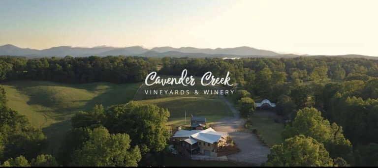 Groovy Buses Transportation to Cavender Creek Vineyards